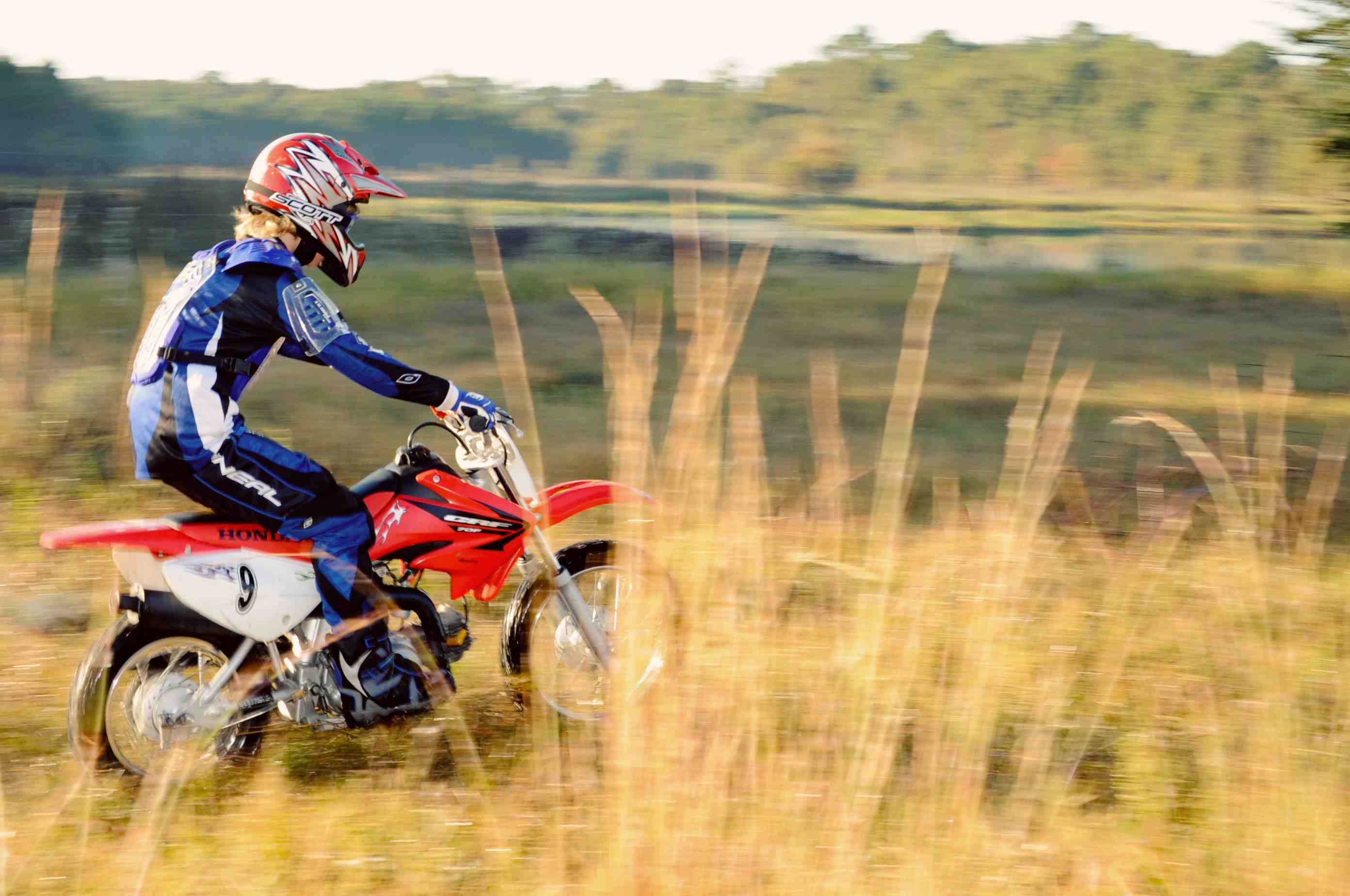 Adventure Family Motorsports II | Today's Orlando