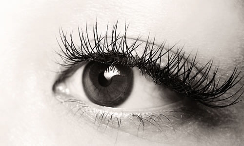 Bella Lash Lounge | Today's Orlando